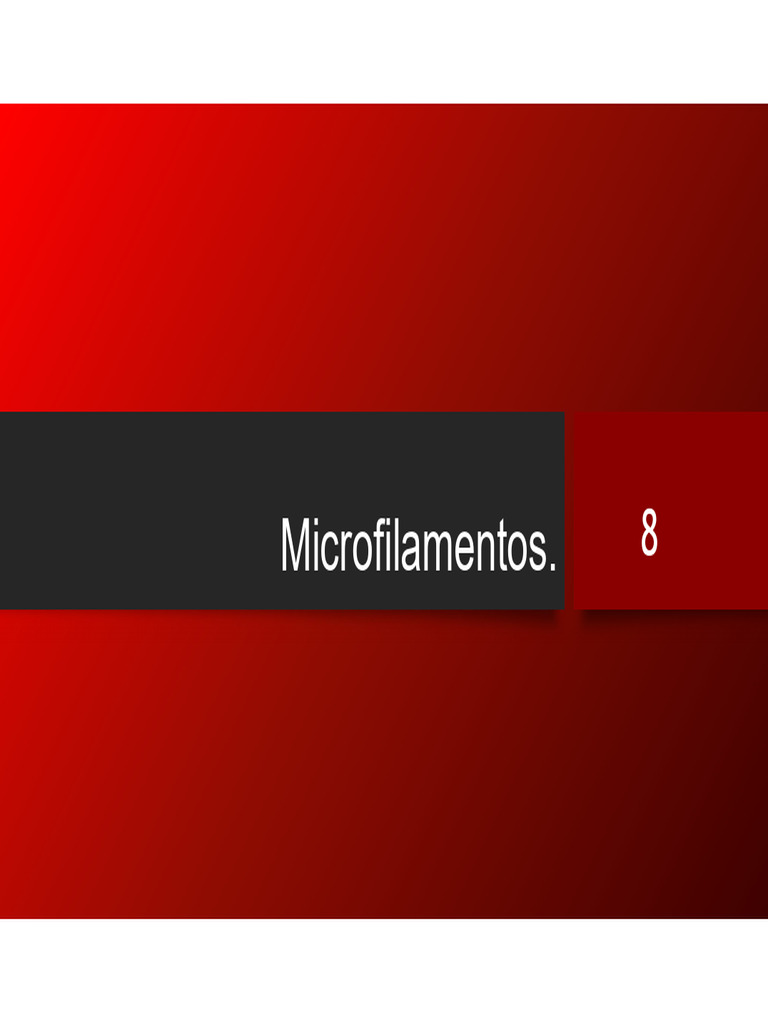 Microfilamentos y su Función Celular | PDF | Actina | Músculo esquelético