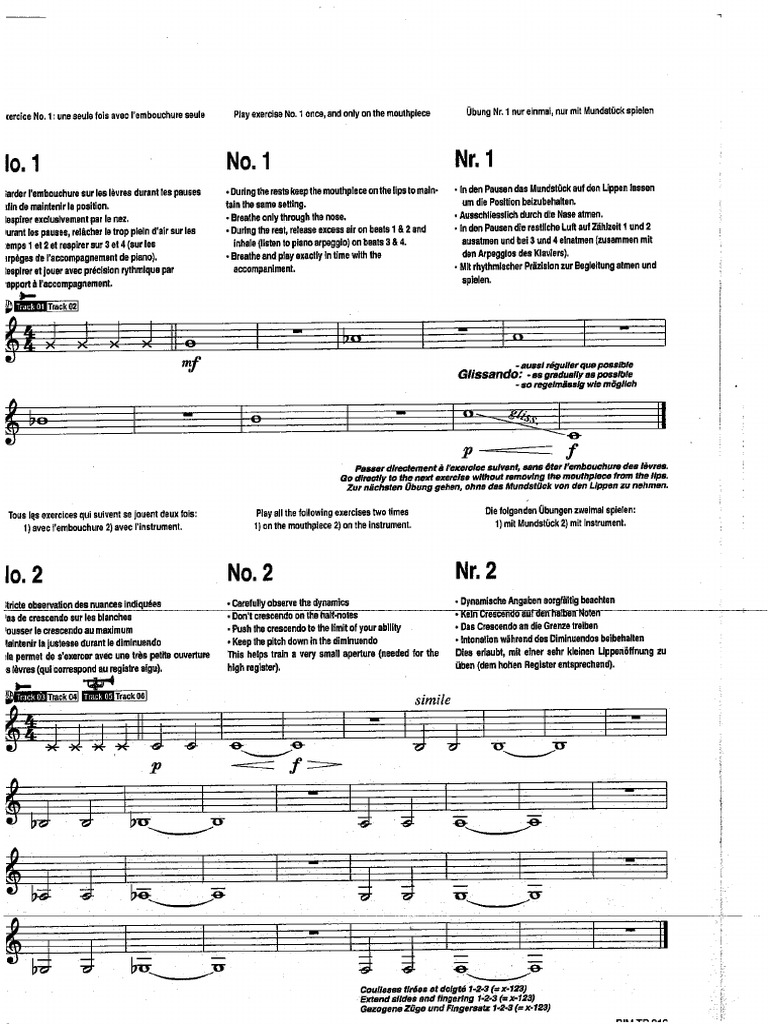 Thompson The Buzzing Book | PDF