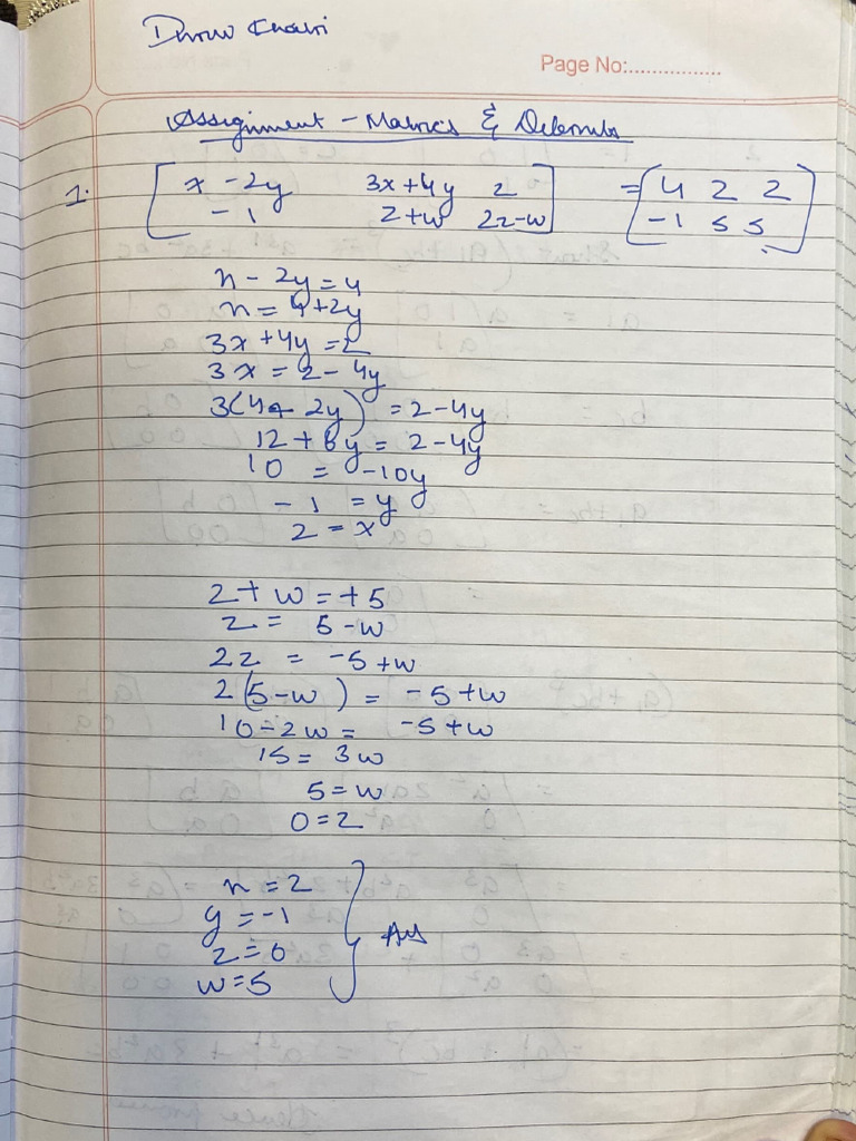 Matrix Assignment | PDF