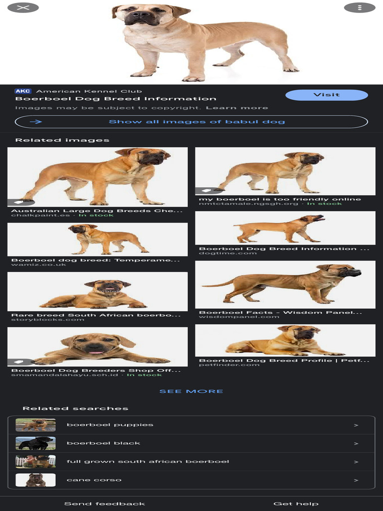 Babul Dog - Google Search | PDF