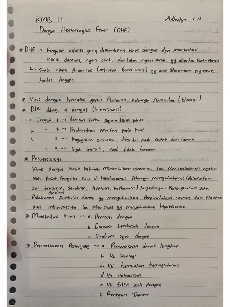 Adheltya resumeKMB DHF | PDF