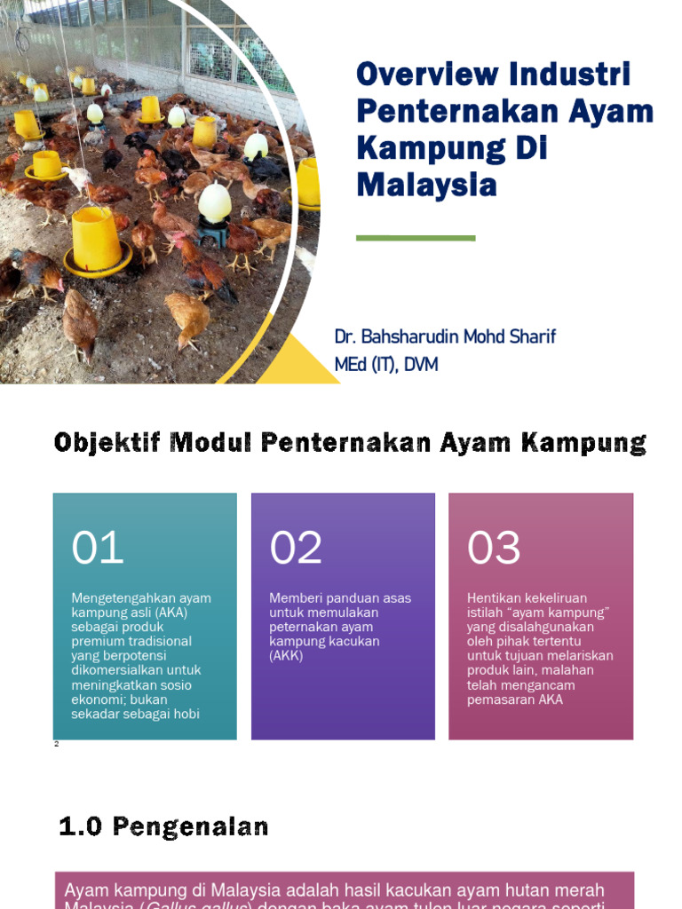 1-Overview Industri Penternakan Ayam Kampung | PDF