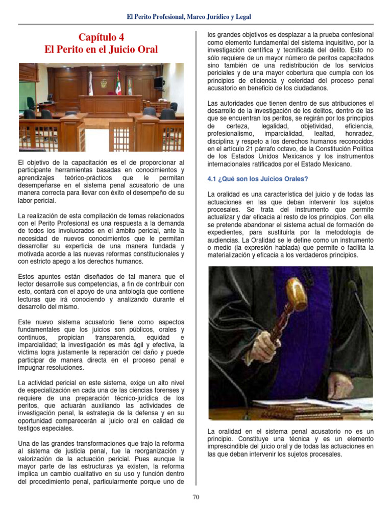 04 El Perito En El Juicio Oral Pdf Testigo Experto Procedimiento