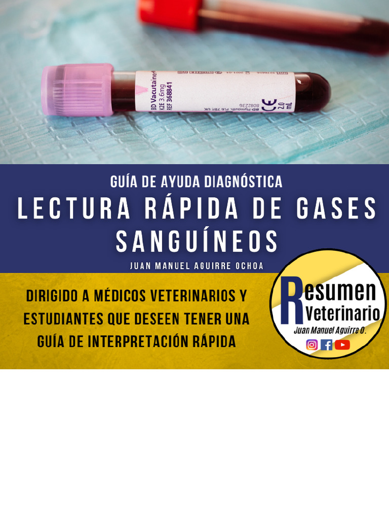 Interpretación Gases Arteriales | PDF