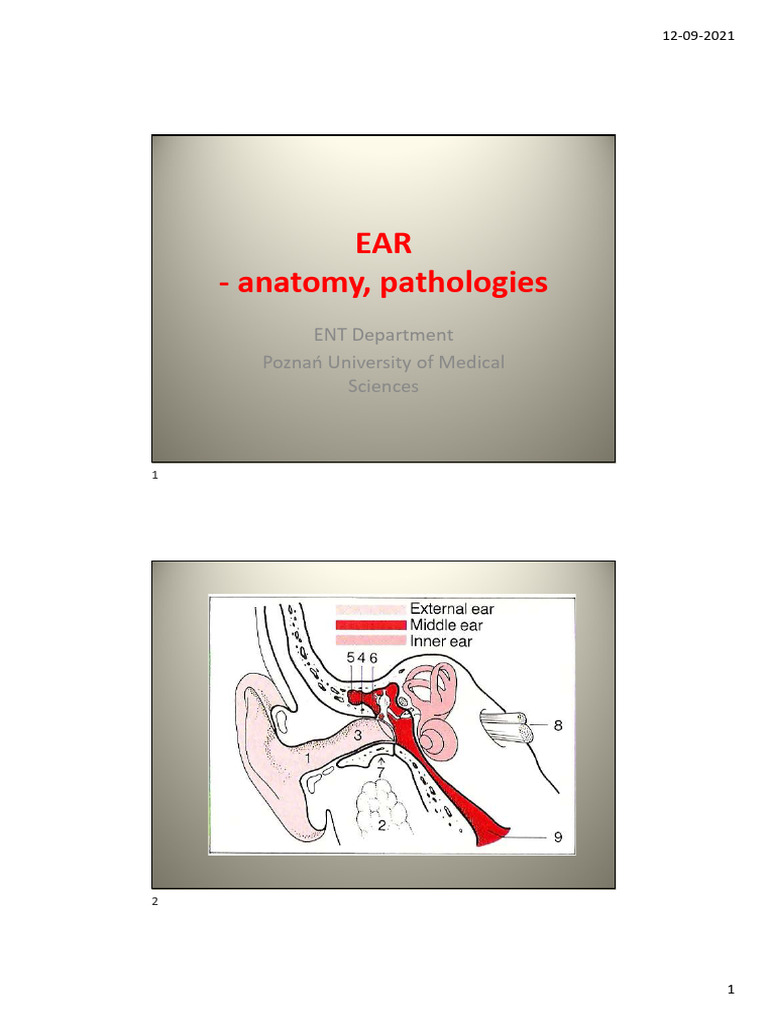EAR - Anatomy, Pathologies: ENT Department Poznań University of Medical ...