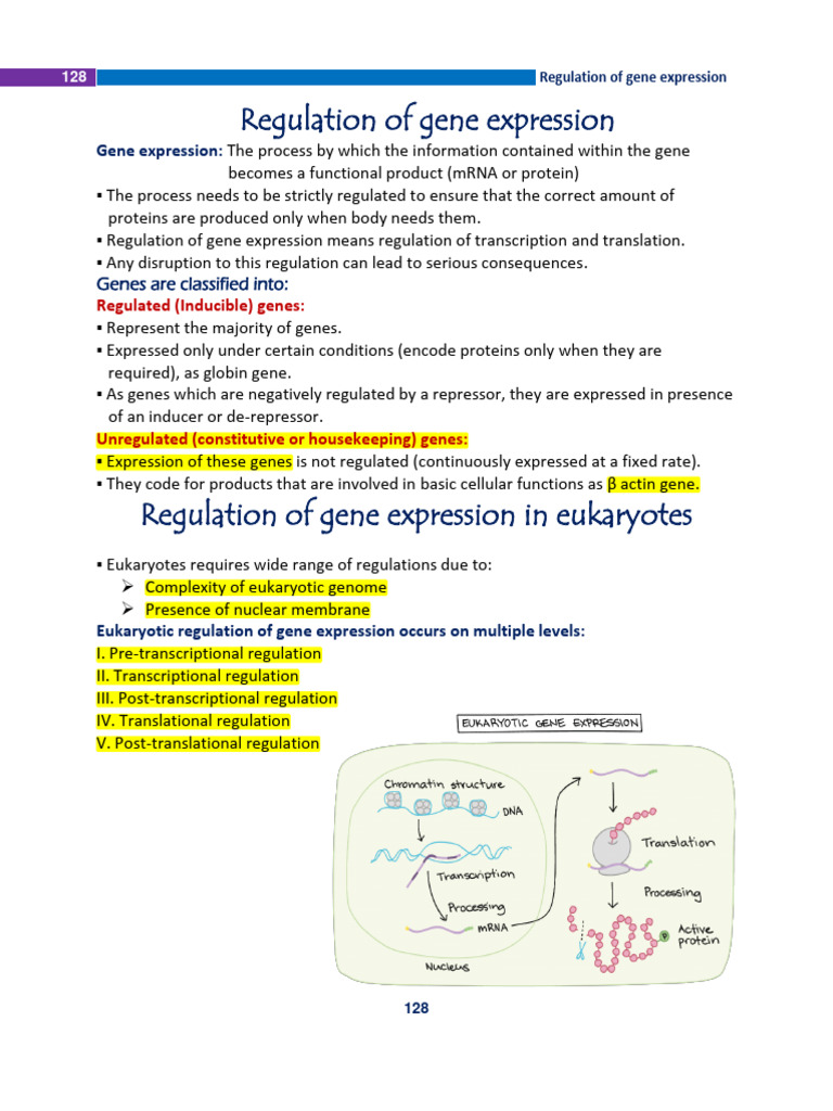 Regulation of Gene Expression-1 | PDF | Regulation Of Gene Expression | Gene Expression