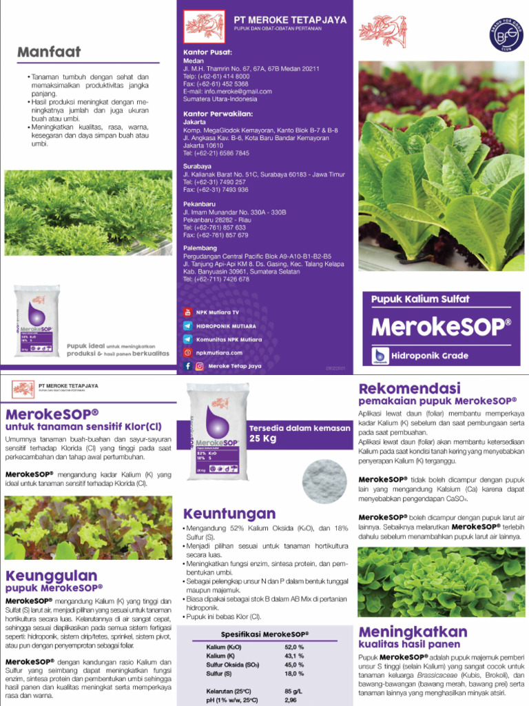 Meroke SOP3 | PDF