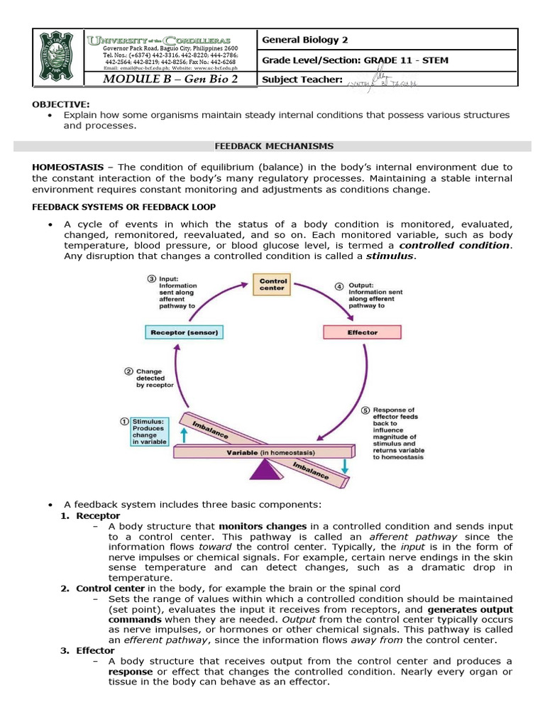 MODULE B General Biology 2 Done | PDF | Kidney | Urinary System