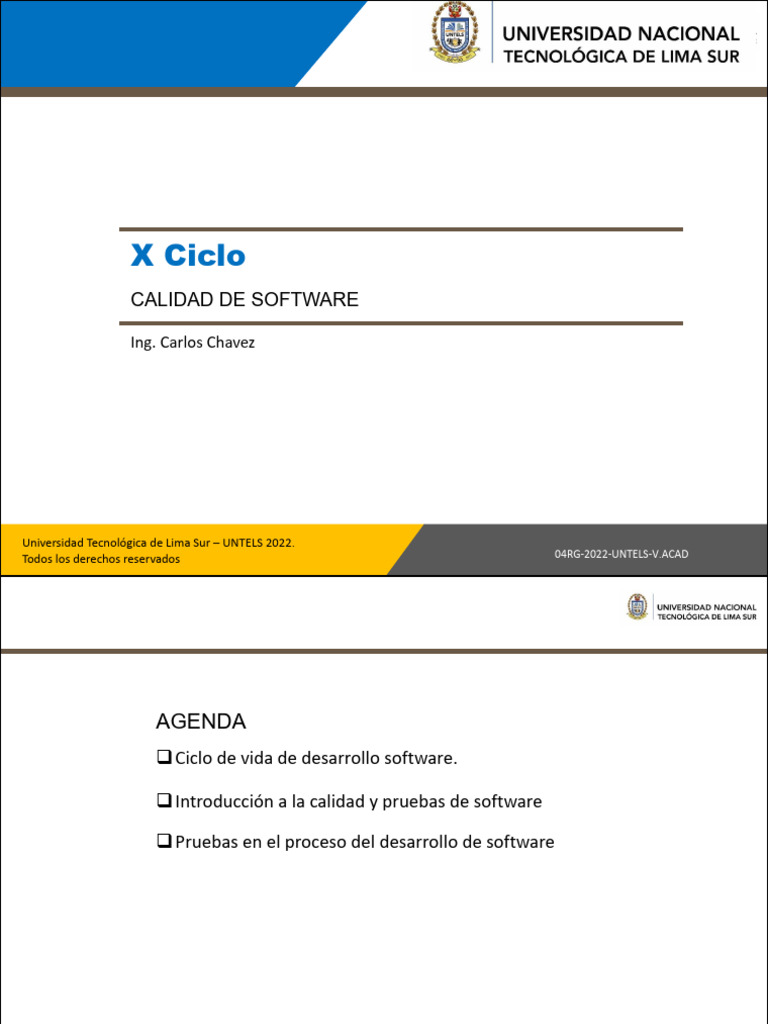 Testing | PDF | Calidad (comercial) | Software