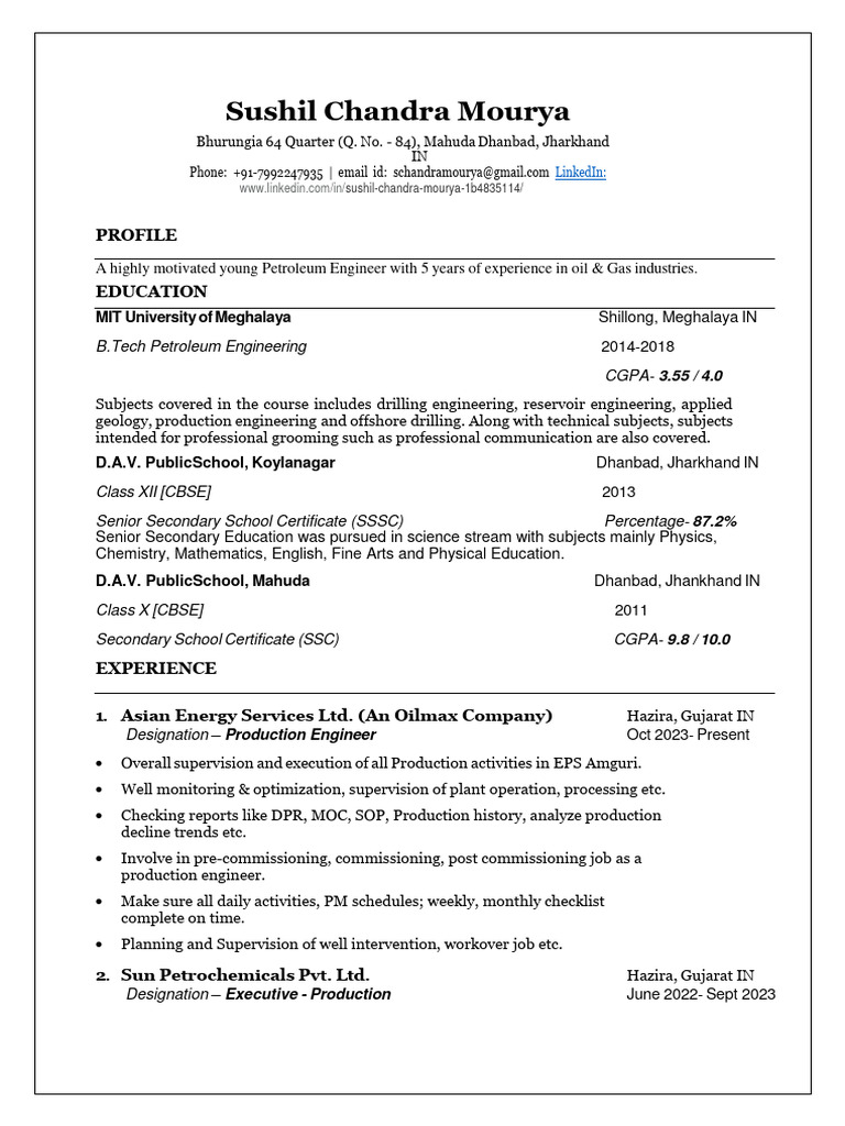Sushil CV Updated | PDF | Petroleum