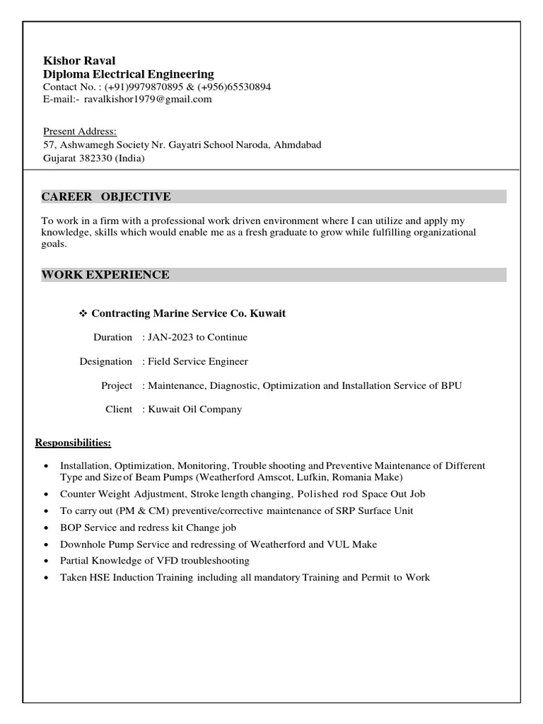 CV Raval | PDF | Technology & Engineering