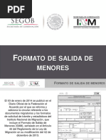 Formato Sam | PDF | Gobierno | Gobierno y personalidad
