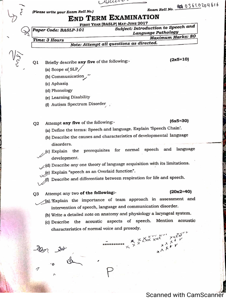 2017question Paper First Year-1 | PDF