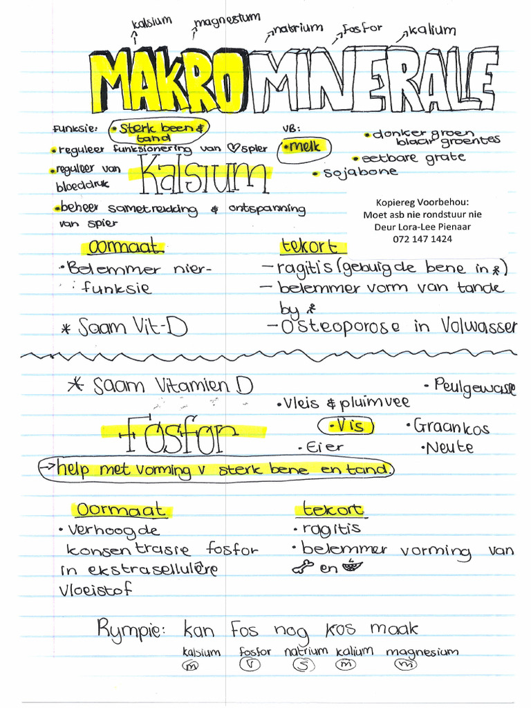 Gr11 Verbruikers - LP 4 | PDF