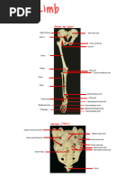 Lower Extremity Stretching Home Exercise Program (Article) Author ...