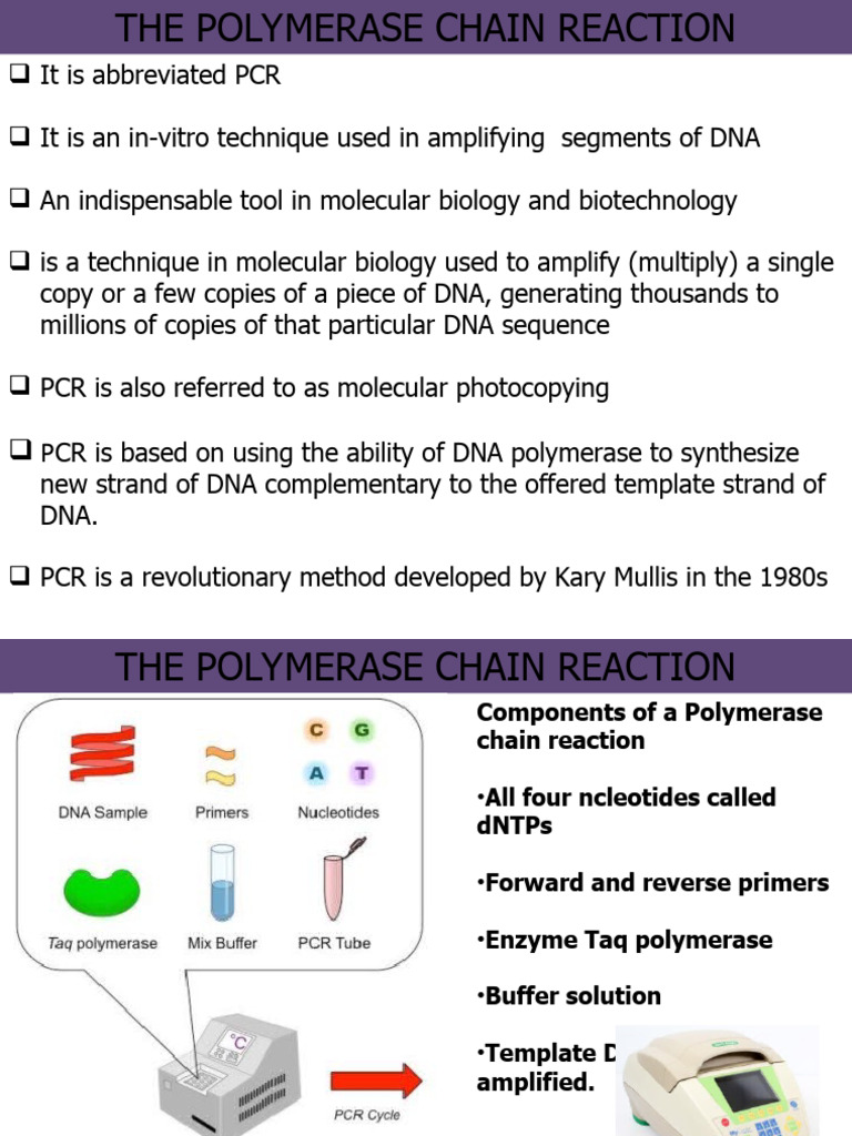 Aspect On PCR Reaction | PDF | Polymerase Chain Reaction | Primer (Molecular Biology)