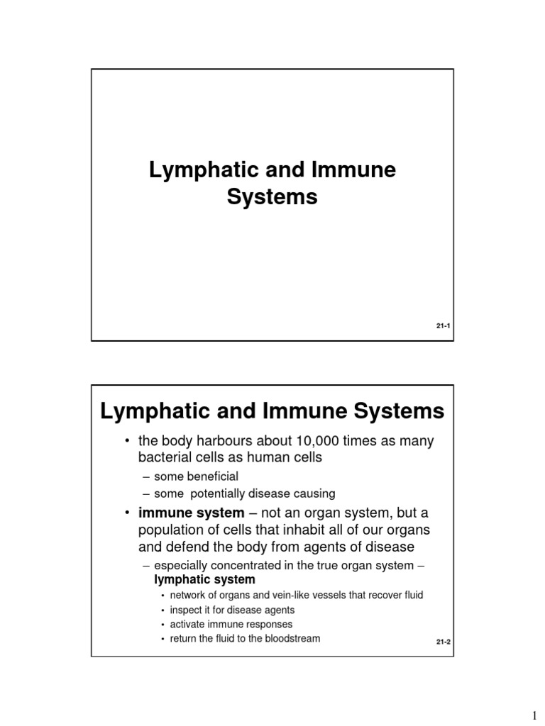 Lymphatic and Immune Systems | PDF | Lymphatic System | Lymph Node