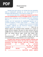Mesajul - Text Liric, Model | PDF