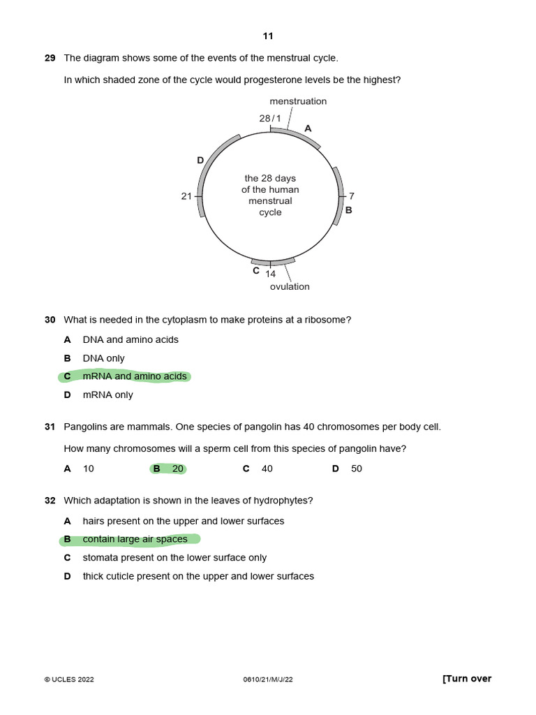 Past Paper Questions DNA | PDF