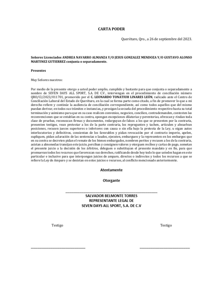 Carta Poder 3 | PDF | Gobierno | Justicia