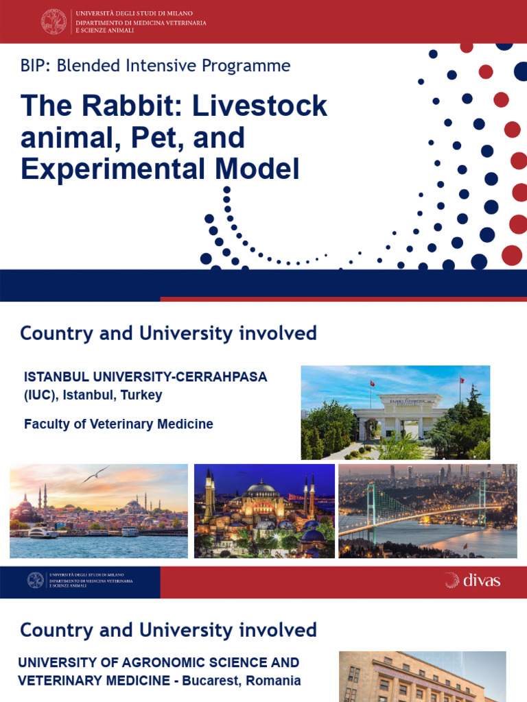 BIP - The Rabbit Livestock Animal, Pet, and Experimental Model | PDF ...