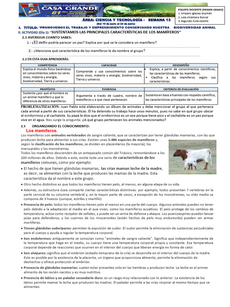 GUIA SEMANA 13. EDA 03-1° Grado Cy T | PDF | Mamíferos | Alimentos