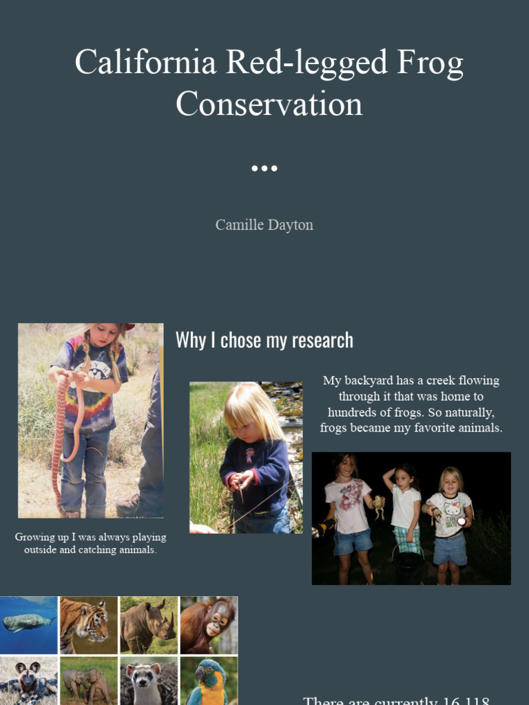 California Red-Legged Frog Conservation | PDF | Conservation Biology ...