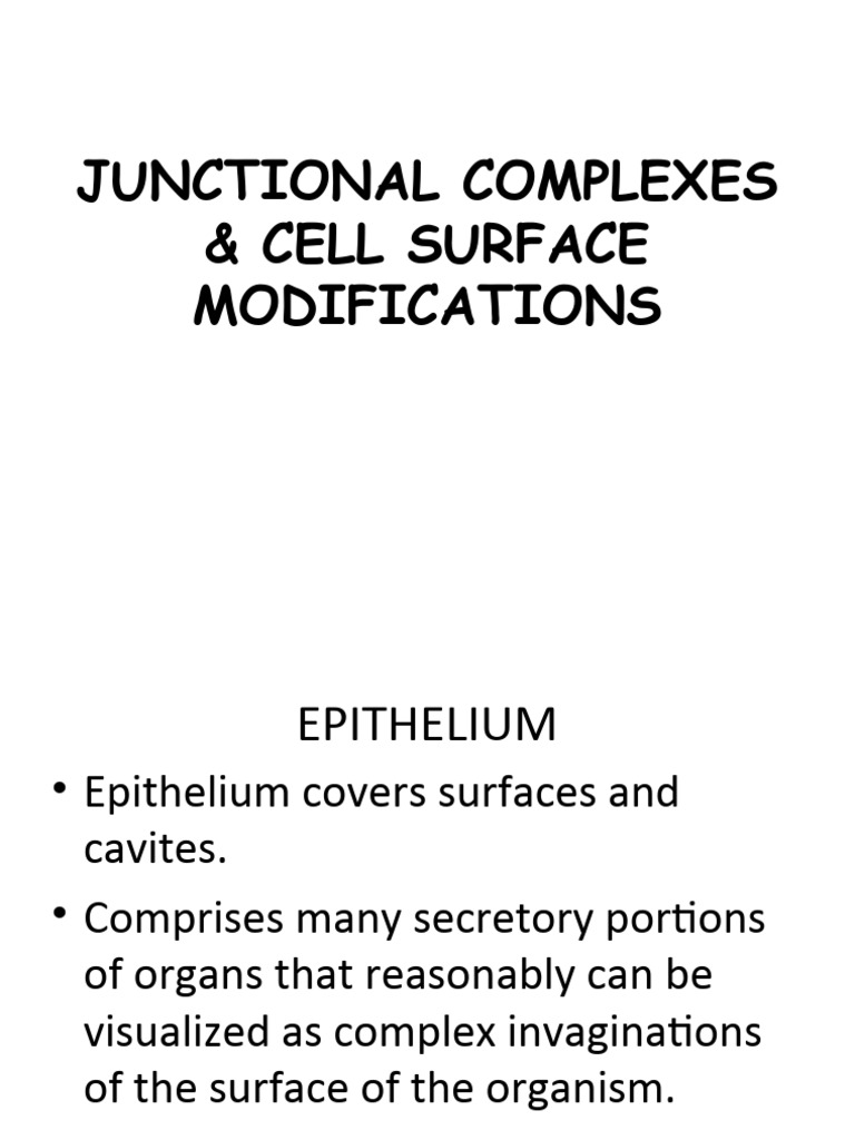 Understanding Junctional Complexes in Epithelium | PDF | Epithelium ...