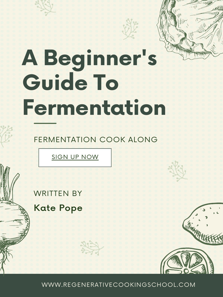 A Beginers Guide To Fermentation | PDF | Gastrointestinal Tract | Bacteria