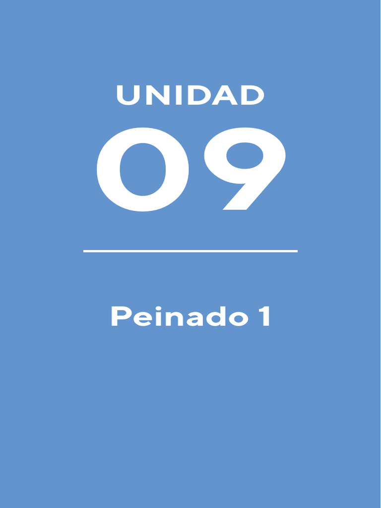 Unidad 9 - Peinado 1 | PDF | Pelo