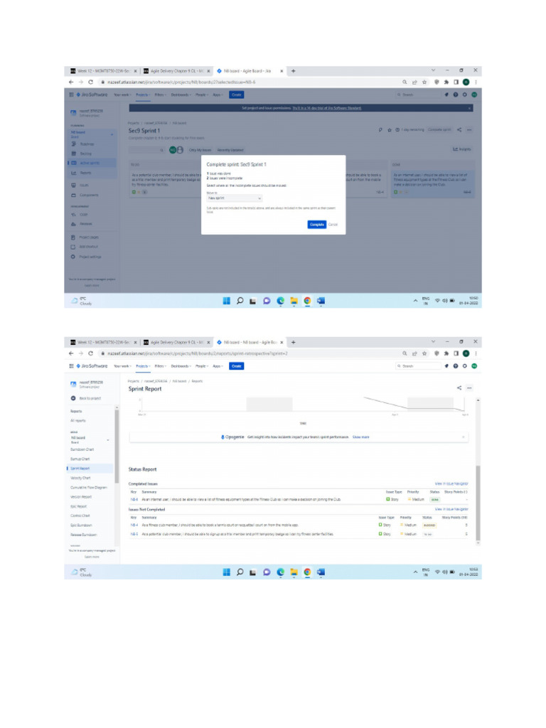 Jira Lab Assignment 8 | PDF
