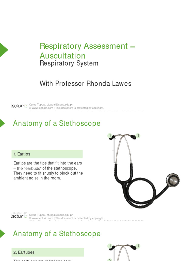 Slides Nursing Respiratory Assessment Auscultation | PDF | Chronic ...