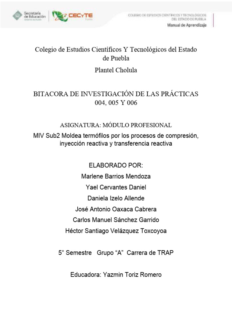 Bitacora | Descargar gratis PDF | El plastico