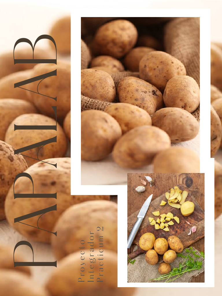 Papa Lab | PDF | Patata | Cocinando