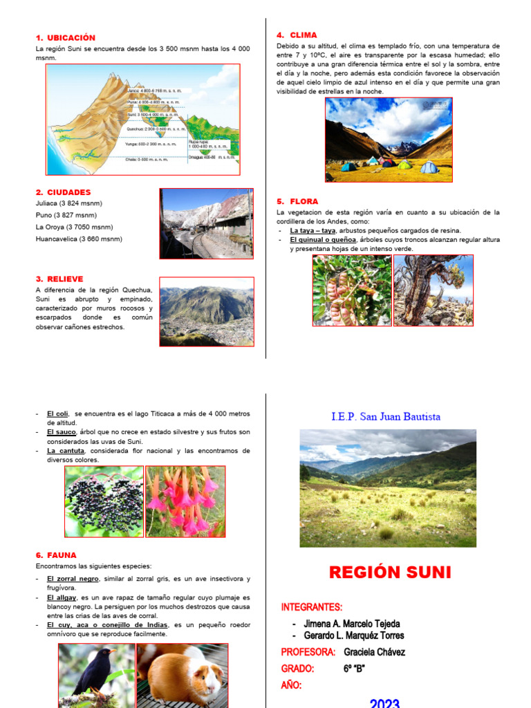 DIPTICO Region Suni | PDF | Aves