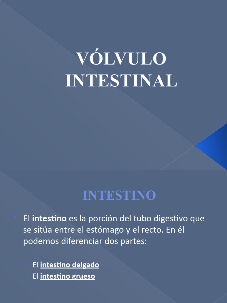 Vólvulo Intestinal | PDF | Tracto gastrointestinal | Intestino grueso