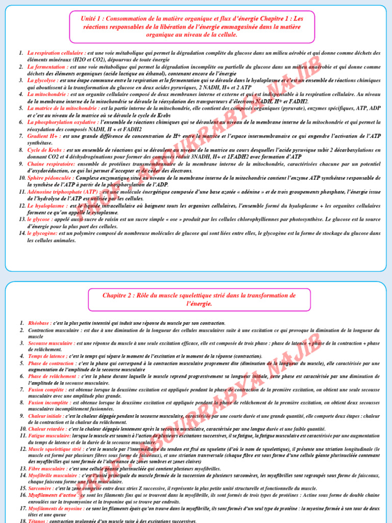 Définitions SVT 2 Bac PC Biof | PDF | Ribosome | Acide ribonucléique ...