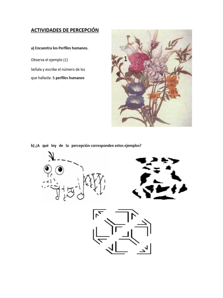 ACTIVIDADES DE EXTENSIÓN Resuelto | PDF