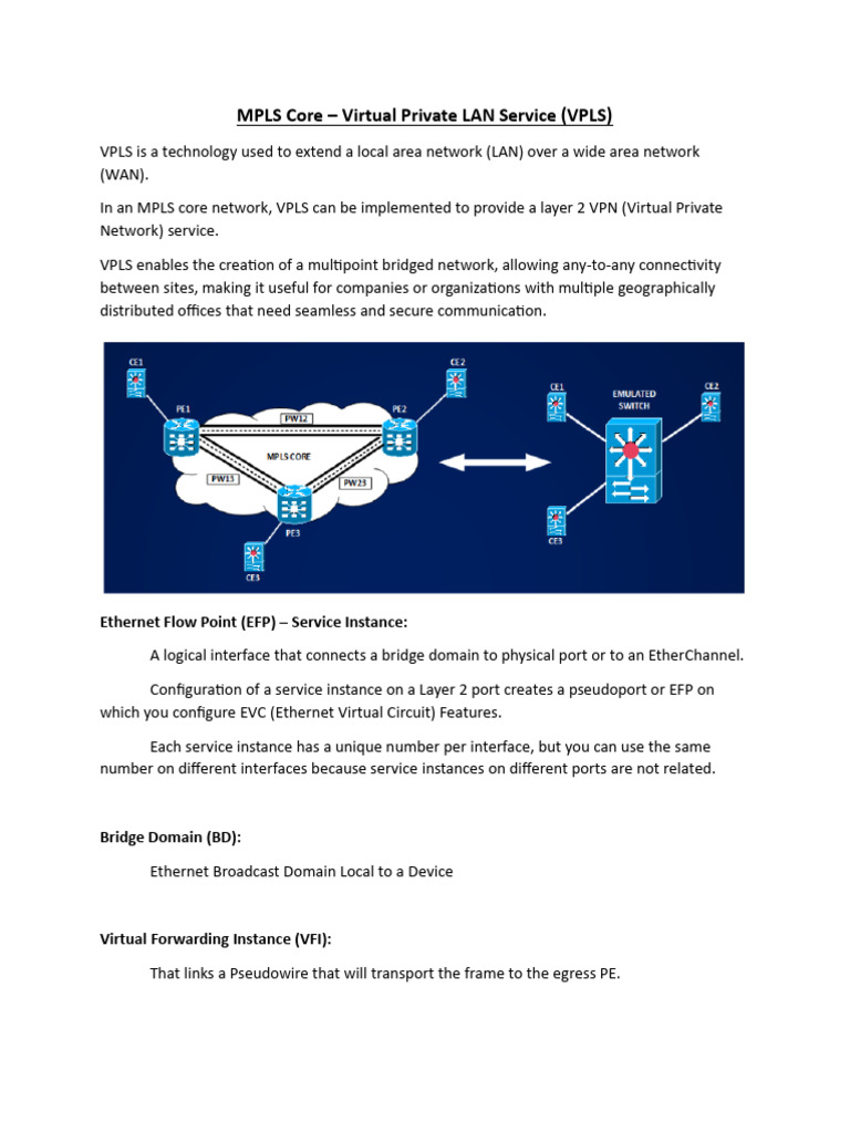 MPLS Core - Virtual Private LAN Service (VPLS) : Ethernet Flow Point (EFP) - Service Instance ...