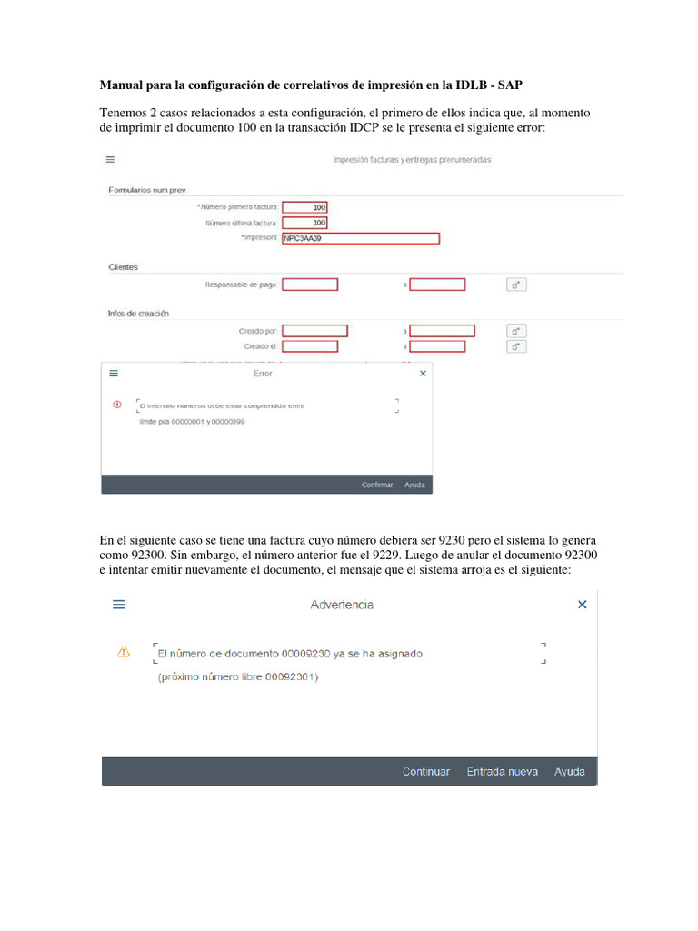 Manual IDLB - SAP Configuración de Correlativos de Impresión | PDF ...