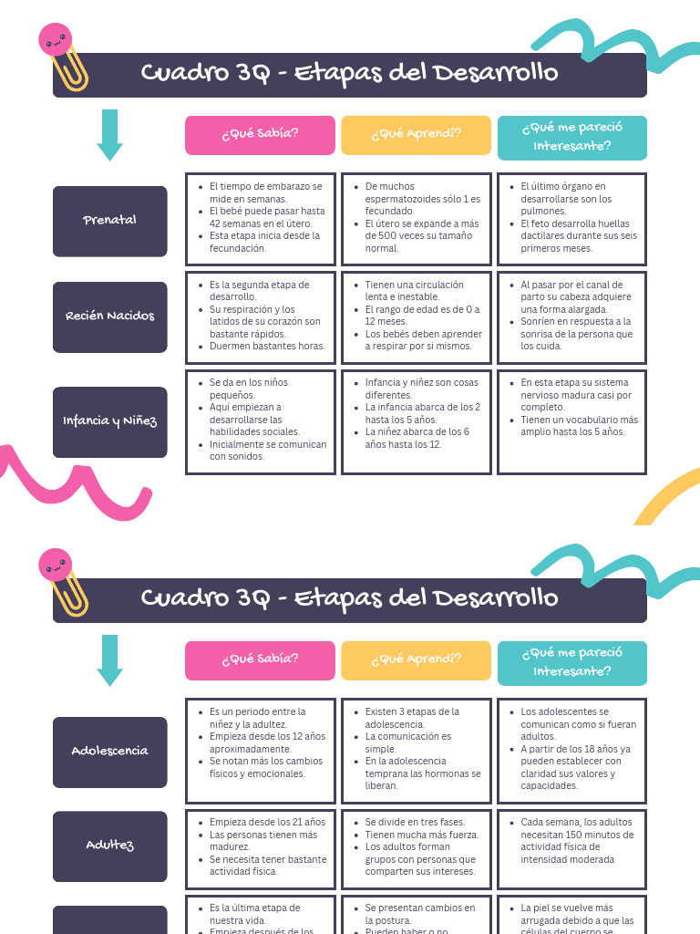 Cuadro 3Q - Etapas Del Desarrollo | PDF | Adultos | Adolescencia