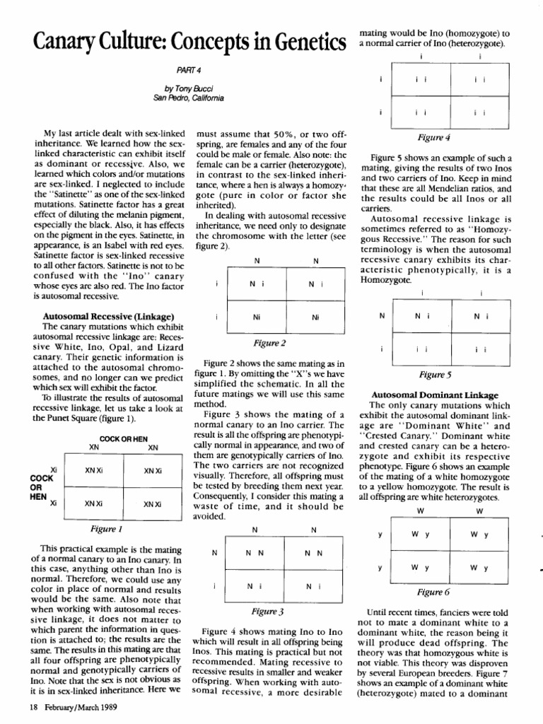 Tdladmin,+16 1 18 | PDF | Dominance (Genetics) | Genotype