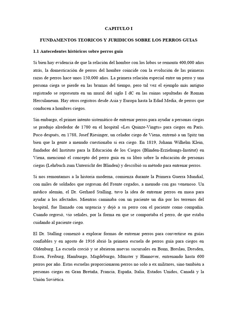 Historia de los Perros Guía | PDF | Historia