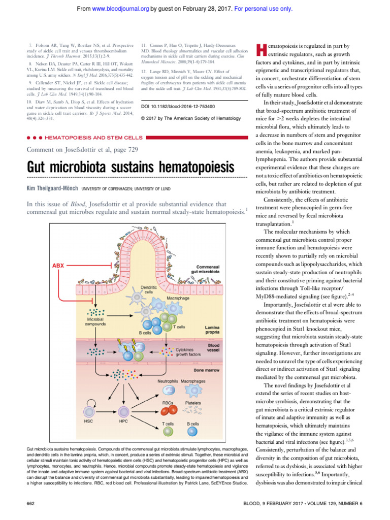 Gut Microbiota Sustains Hematopoiesis - Blood | PDF | T Cell | Immune ...