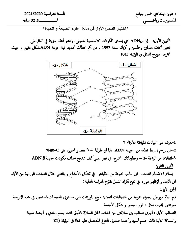 Dzexams 2as Sciences 1116601 | PDF