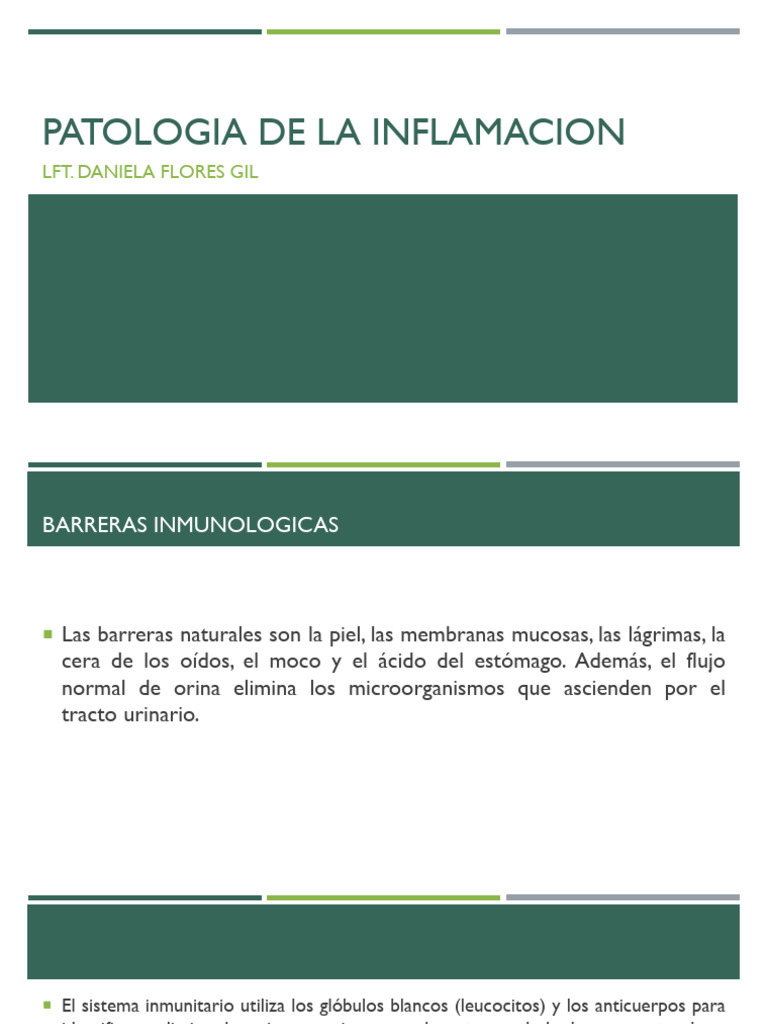 PATOLOGIA DE LA INFLAMACION | PDF | Inflamación | Sistema inmune