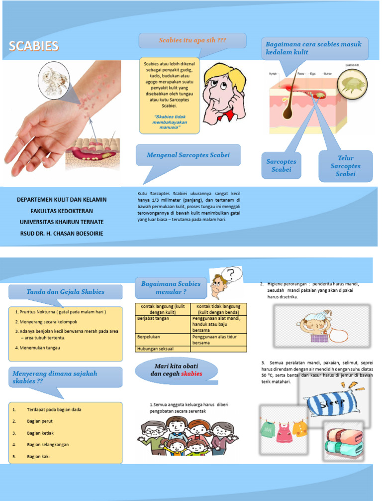 Leaflet Scabies | PDF