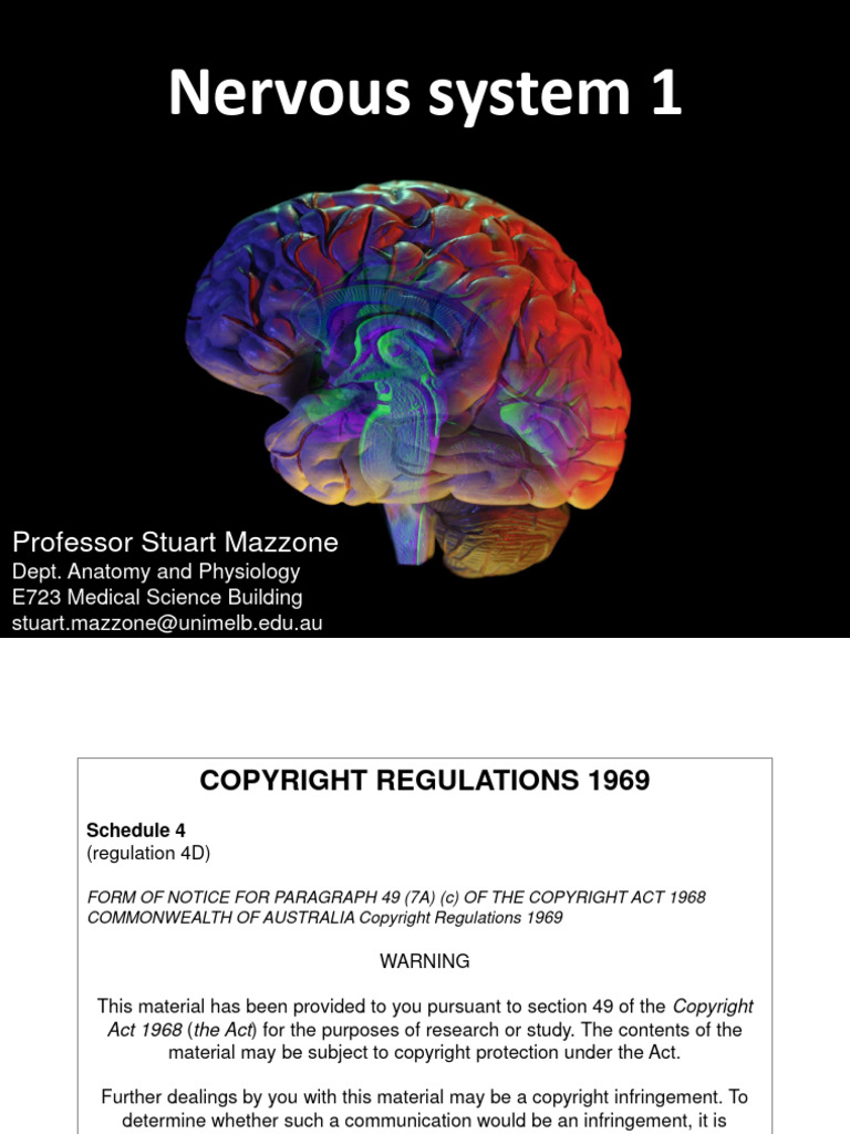 Nervous System 1 Notes-1 (6) | PDF | Central Nervous System ...