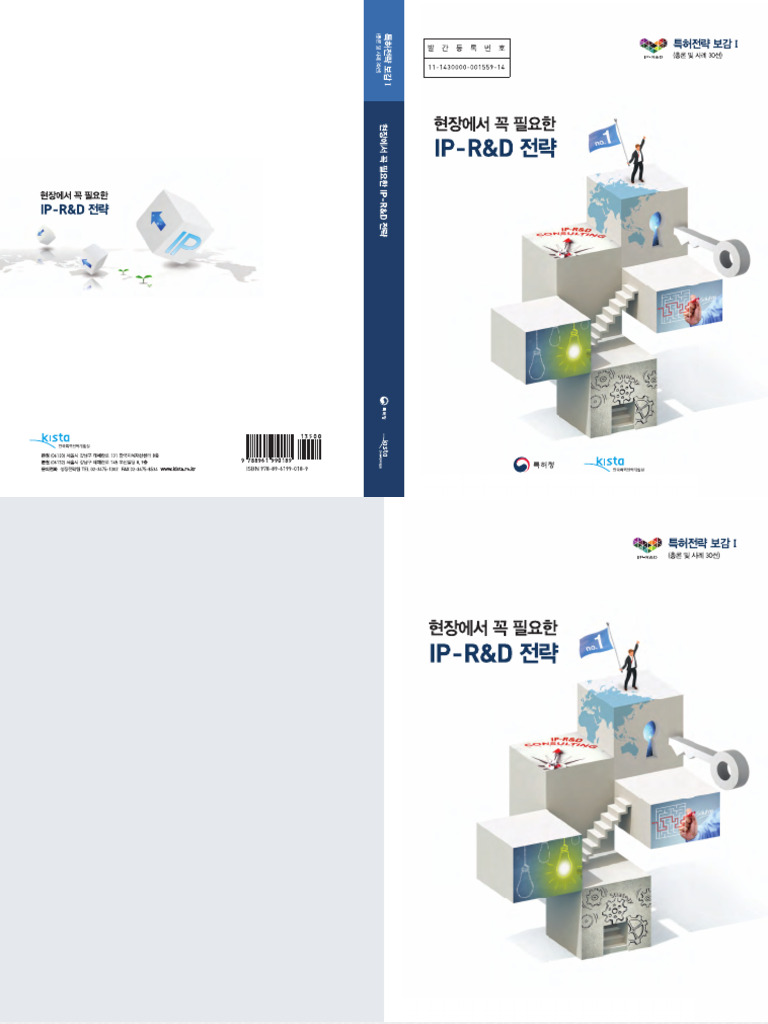 현장에서 꼭 필요한 IP-R&D 전략 | PDF