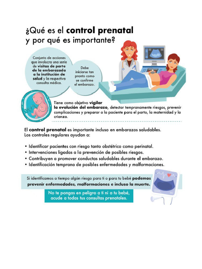 Control Prenatal | PDF